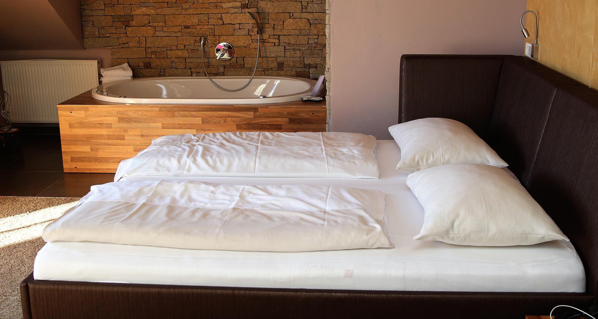 Bed Bug Injury Lawyers & Attorneys in Livonia, Michigan